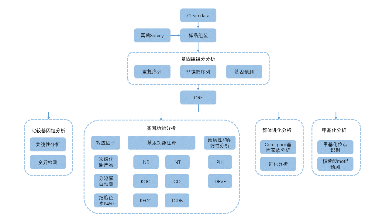 Index of /cloudir/reports/fungi_fine_map/common_files/ Index of /cloudir/reports/fungi_fine_map/common_files/