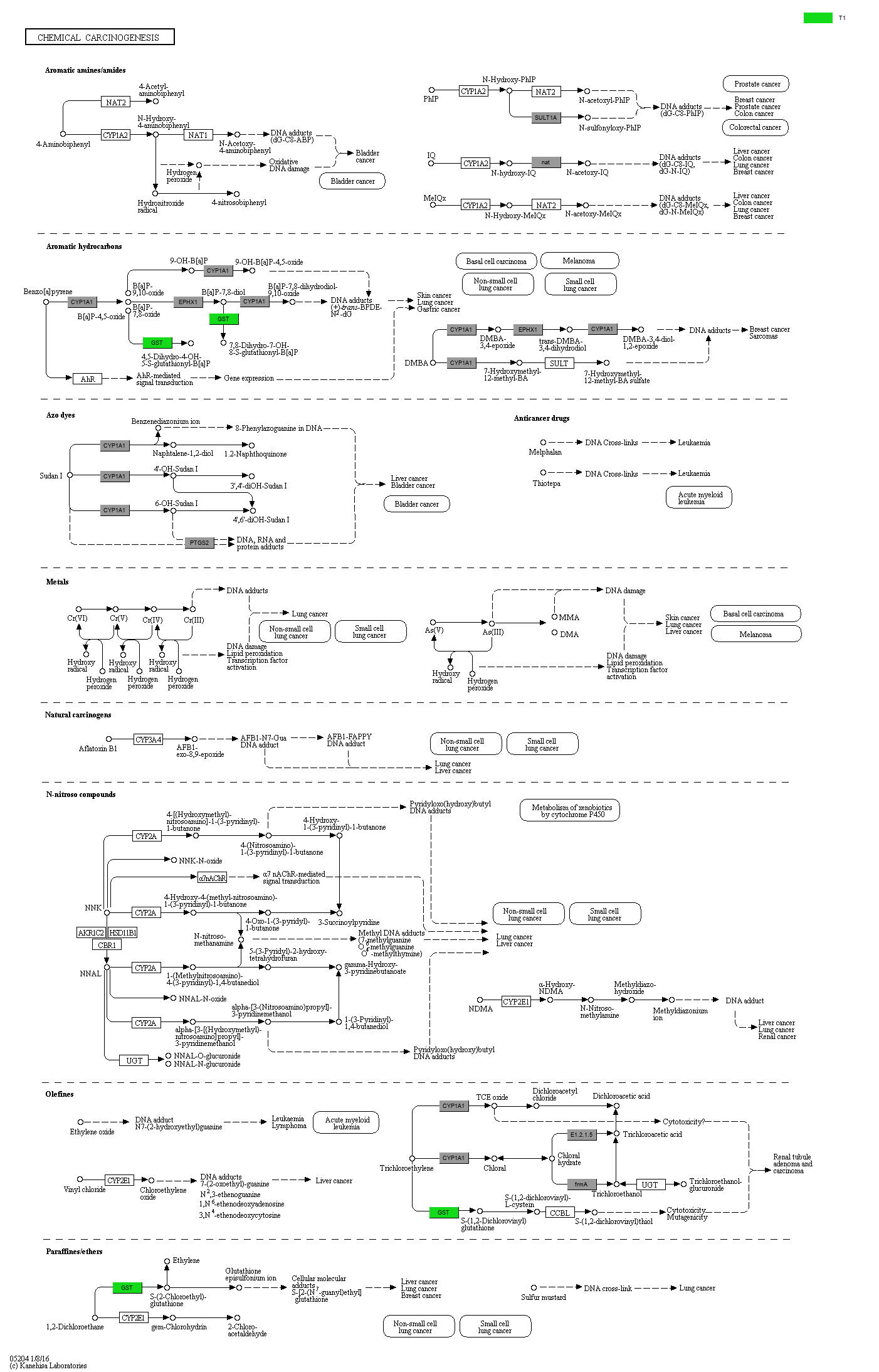 KEGG PATHWAY: Chemical carcinogenesis - Reference pathway
